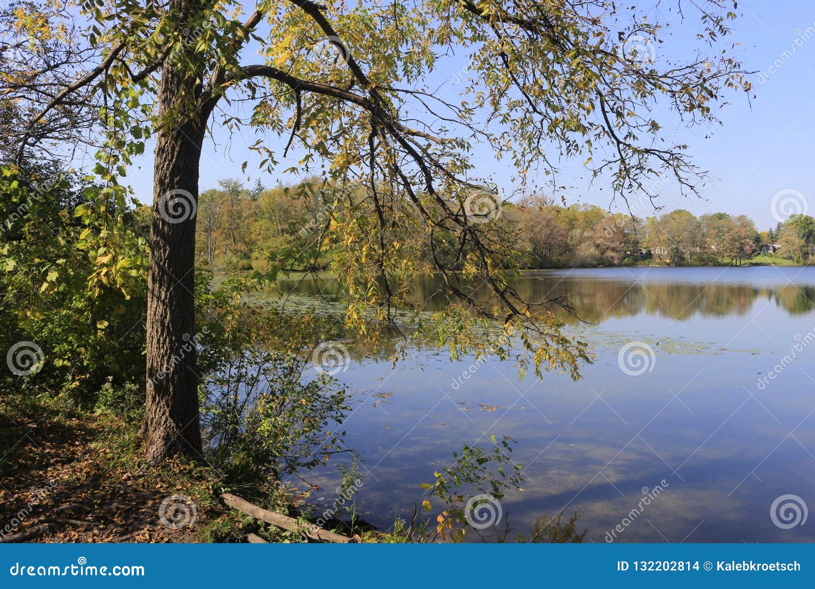 Dramatic Lake Reflection in Autumn in Canada Stock Photo - Image of ...
