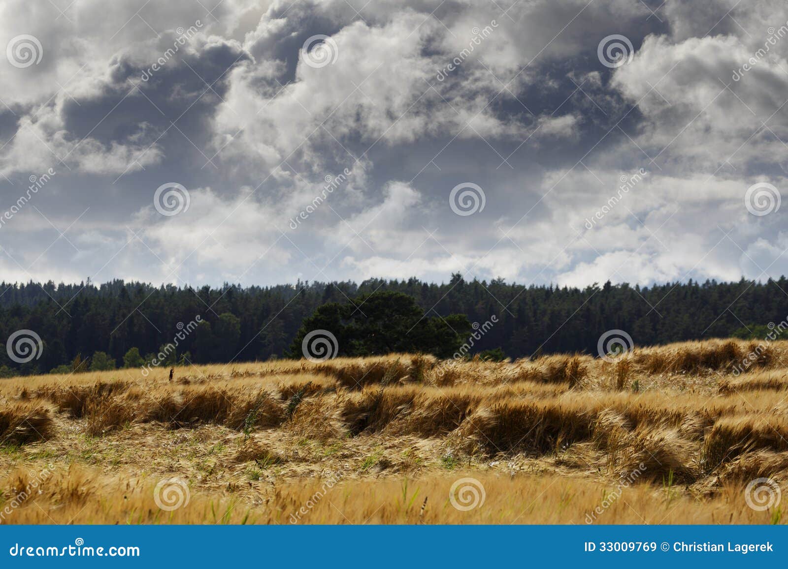 Dramatic Land and Cloud-scape Stock Image - Image of stormy, landscape ...