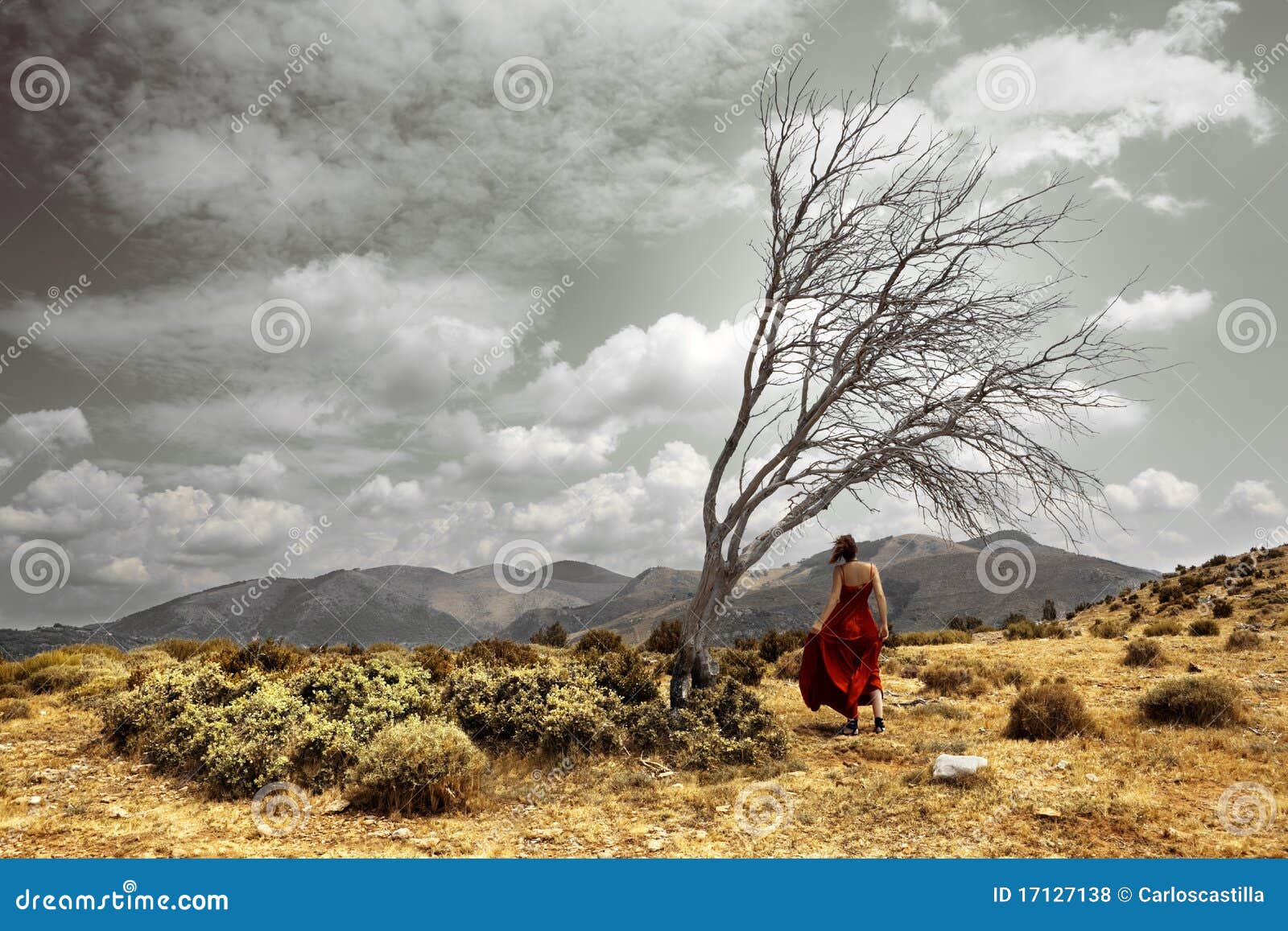 Dramatic landscape stock photo. Image of green, brunet - 17127138