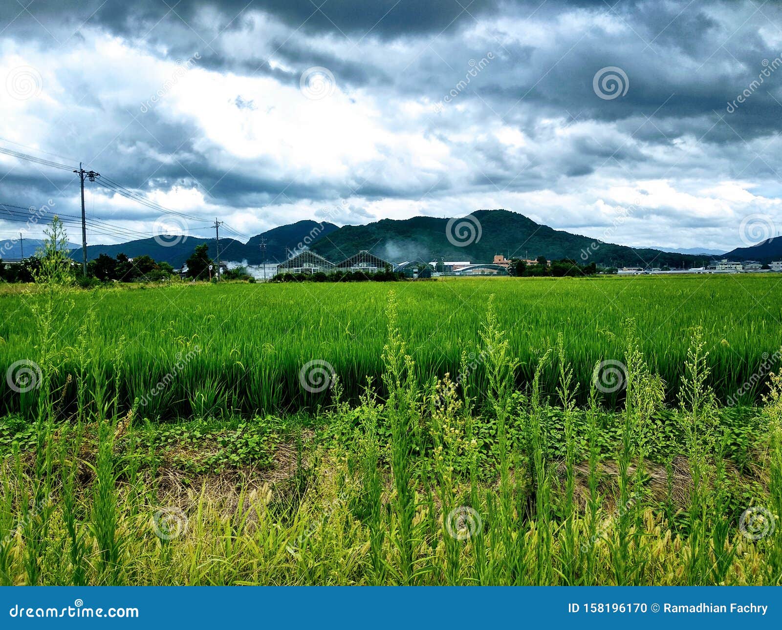 A Dramatic Landscape stock photo. Image of mountain - 158196170
