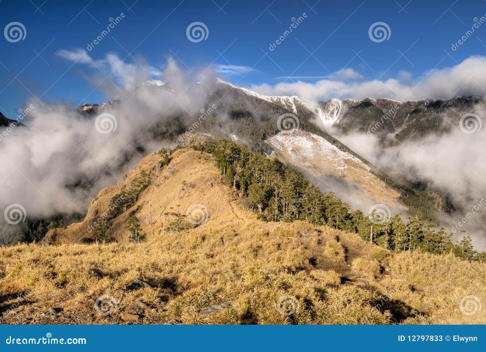 Dramatic Landscape of Mountain Stock Image - Image of fresh, forest ...