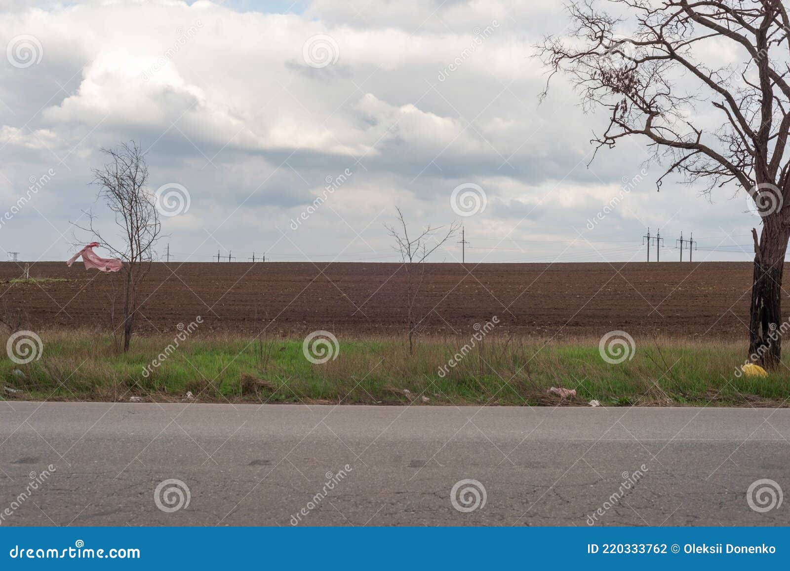 Dramatic Landscape Pollution by the Road Trash on Trees on the ...
