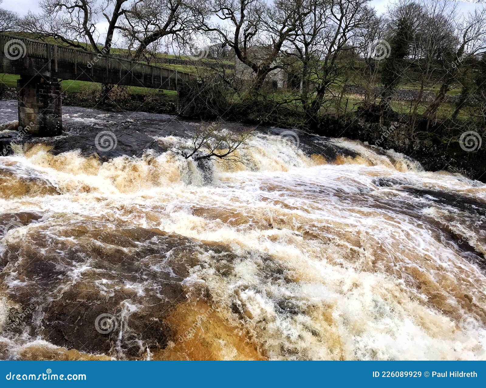 The Dramatic Linton Falls in Full Flood Stock Image - Image of national ...