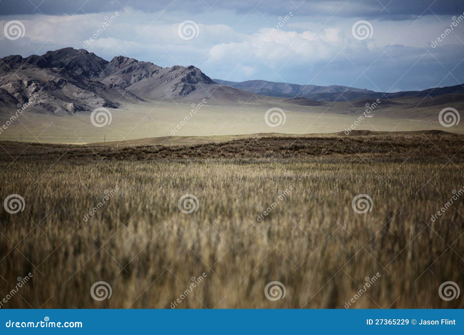 Dramatic Mongolian Grasslands Stock Image - Image of steppe, grassland ...