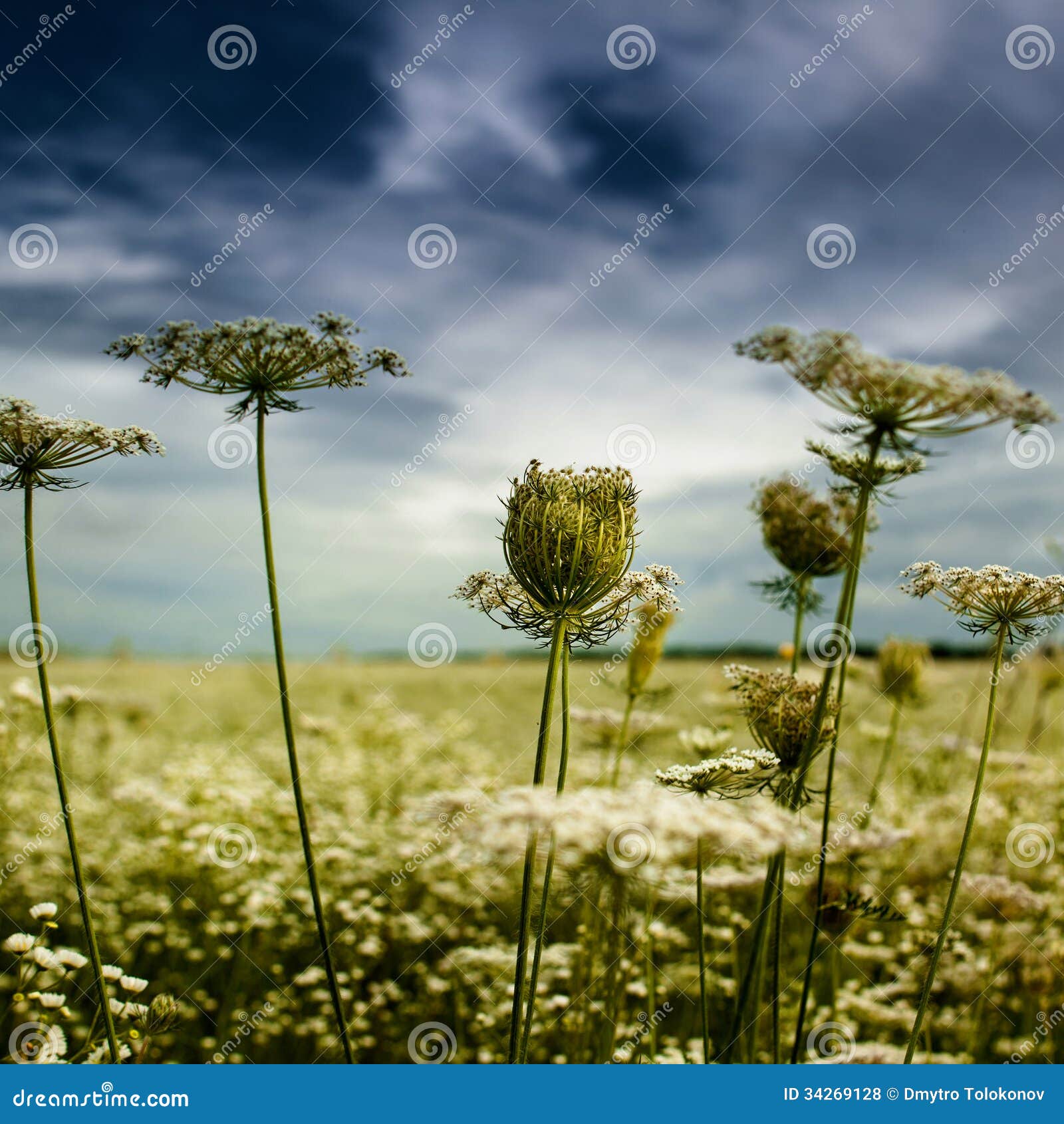 Dramatic natural landscape stock photo. Image of landscape - 34269128