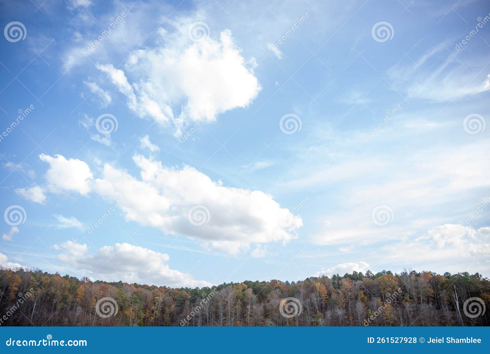 Dramatic Partly Cloudy Sky Above Forest. Stock Photo - Image of trees ...