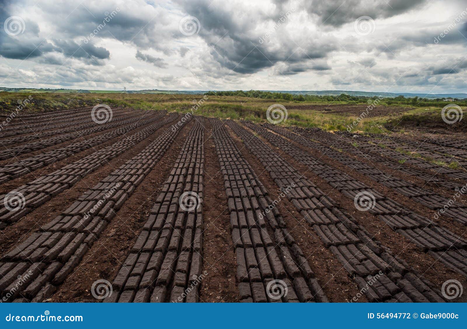 Dramatic Peat Bog Field Landscape Stock Photo - Image of fossil, fuel ...