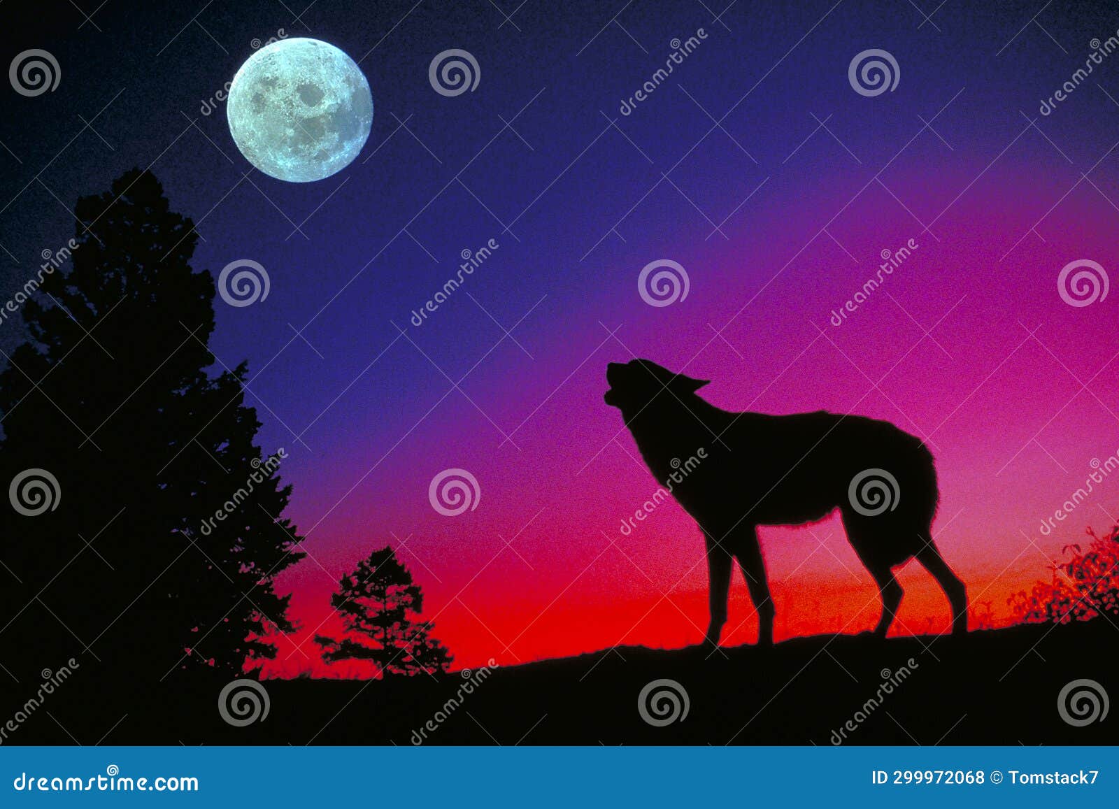 A Wolf Howling at the Moon. Stock Photo - Image of howling, dramatic ...