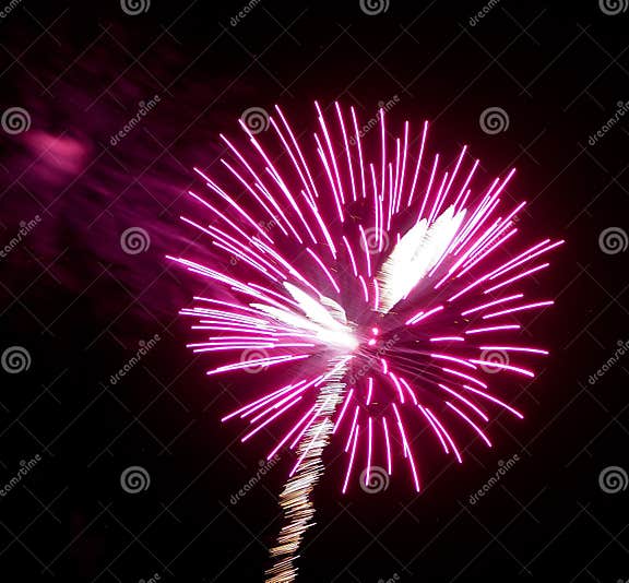 Dramatic Pink Firework Exploding in a Black Sky Stock Photo - Image of ...