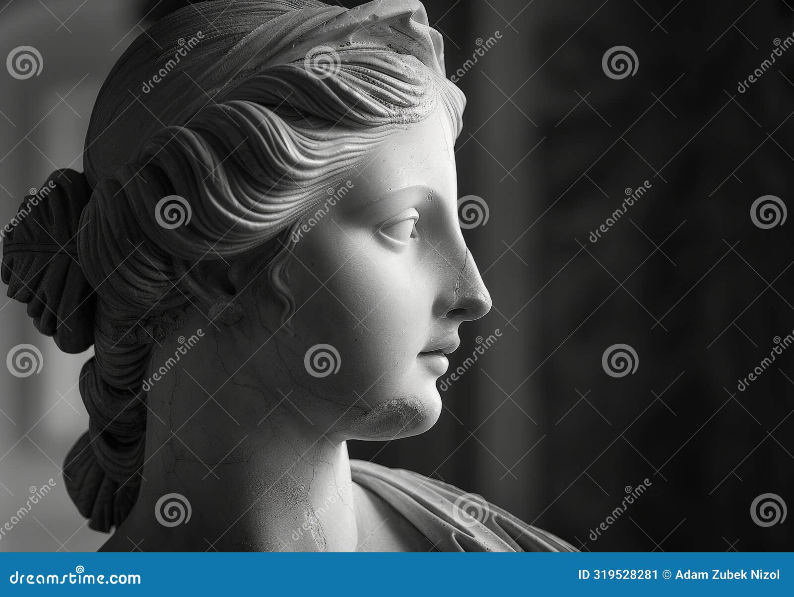 Dramatic Profile of a Classical Statue Stock Illustration ...