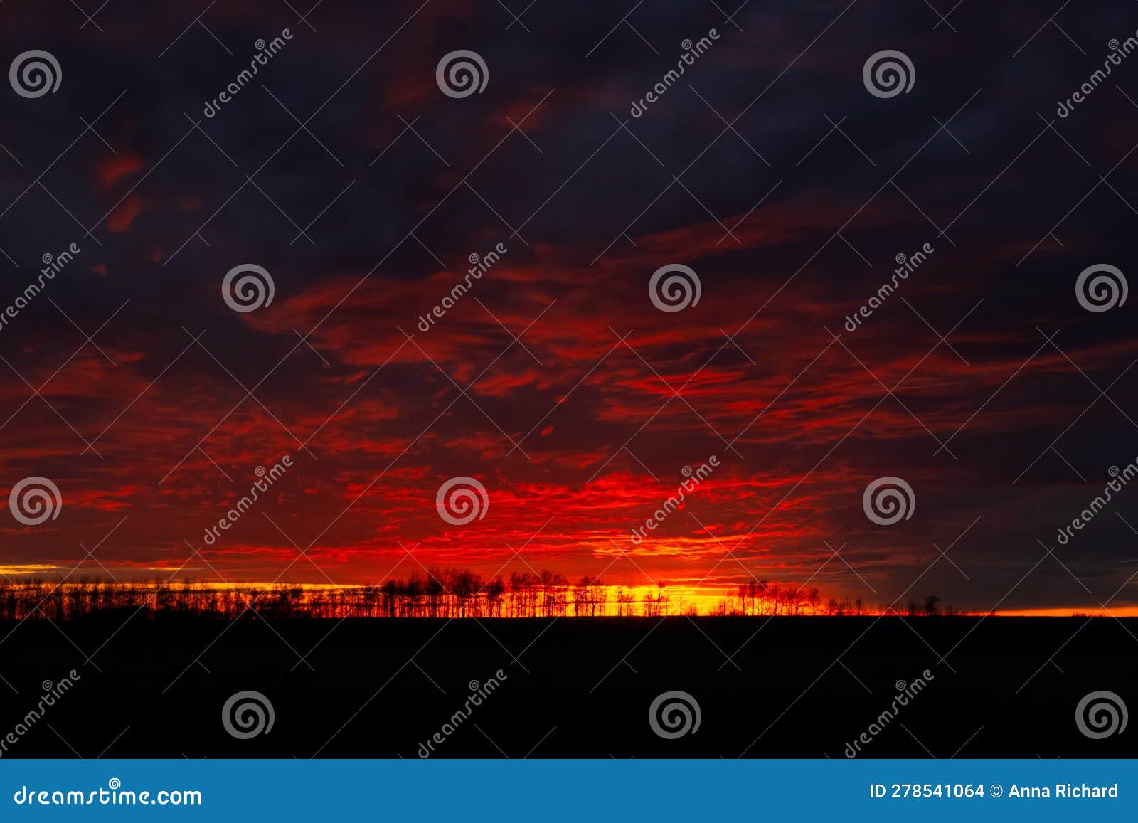 Dramatic Purple and Orange Sunset with Trees on Horizon in Prairies ...