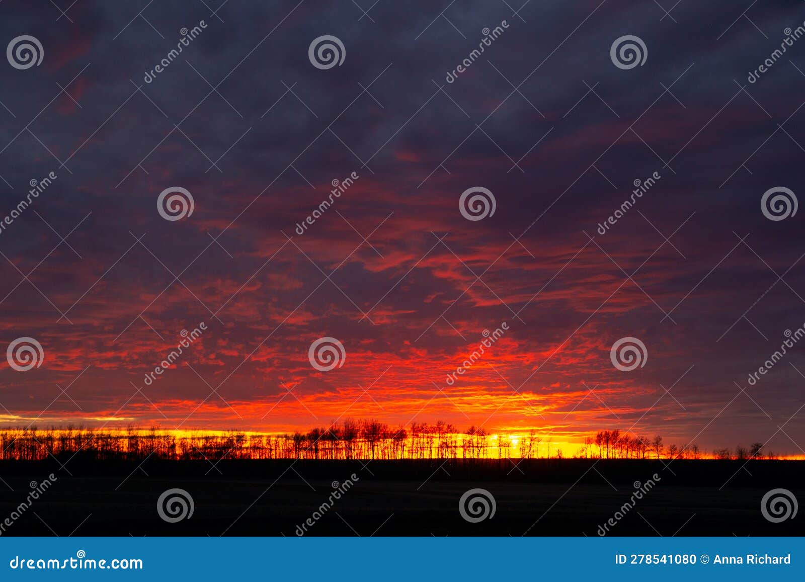 Dramatic Purple and Orange Sunset with Trees on Horizon in Prairies ...