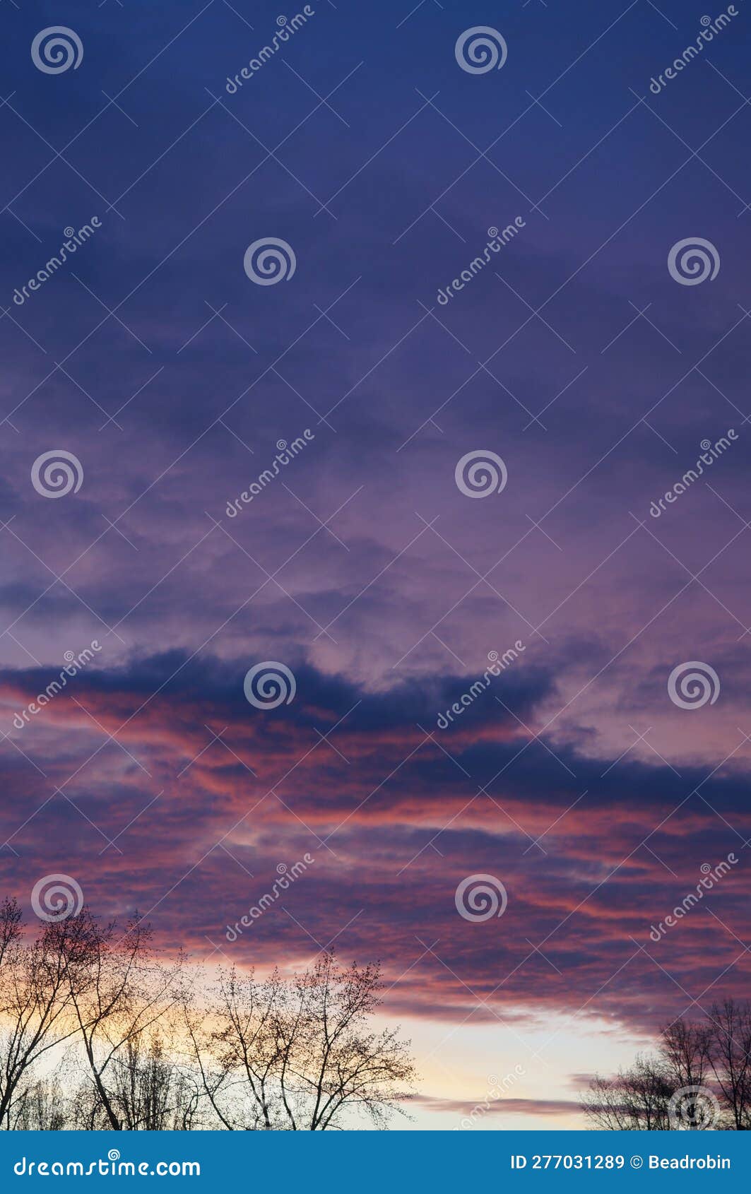 Dramatic Purple Sunset In Utah USA And Trees Silhouettes Royalty-Free ...