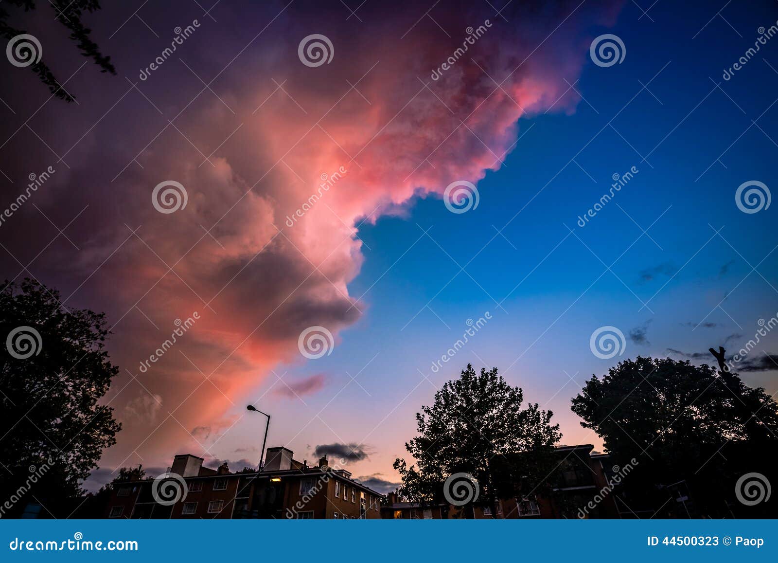Dramatic Purple Sunset In Utah USA And Trees Silhouettes Royalty-Free ...