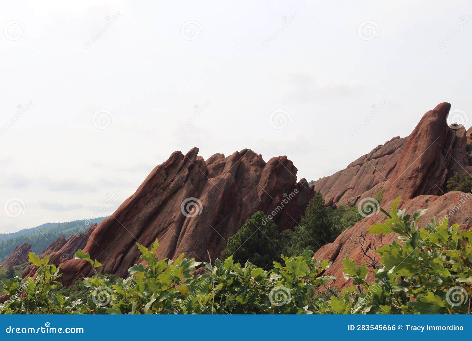 Dramatic Red Sandstone Formations Jutting Out of the Ground, Surrounded ...