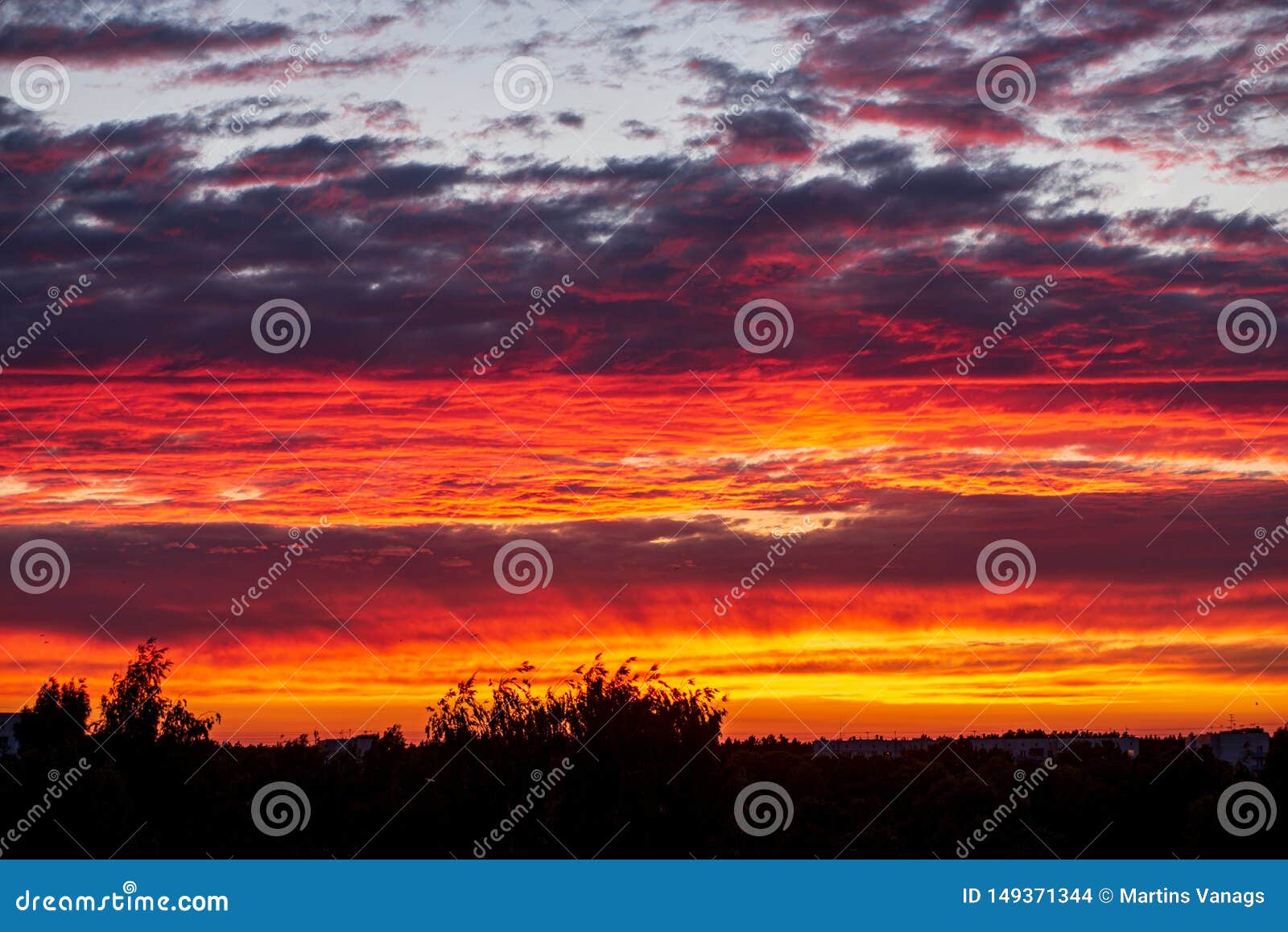 Dramatic Red Sunset Colors in the Sky Above Trees and Fields Stock ...