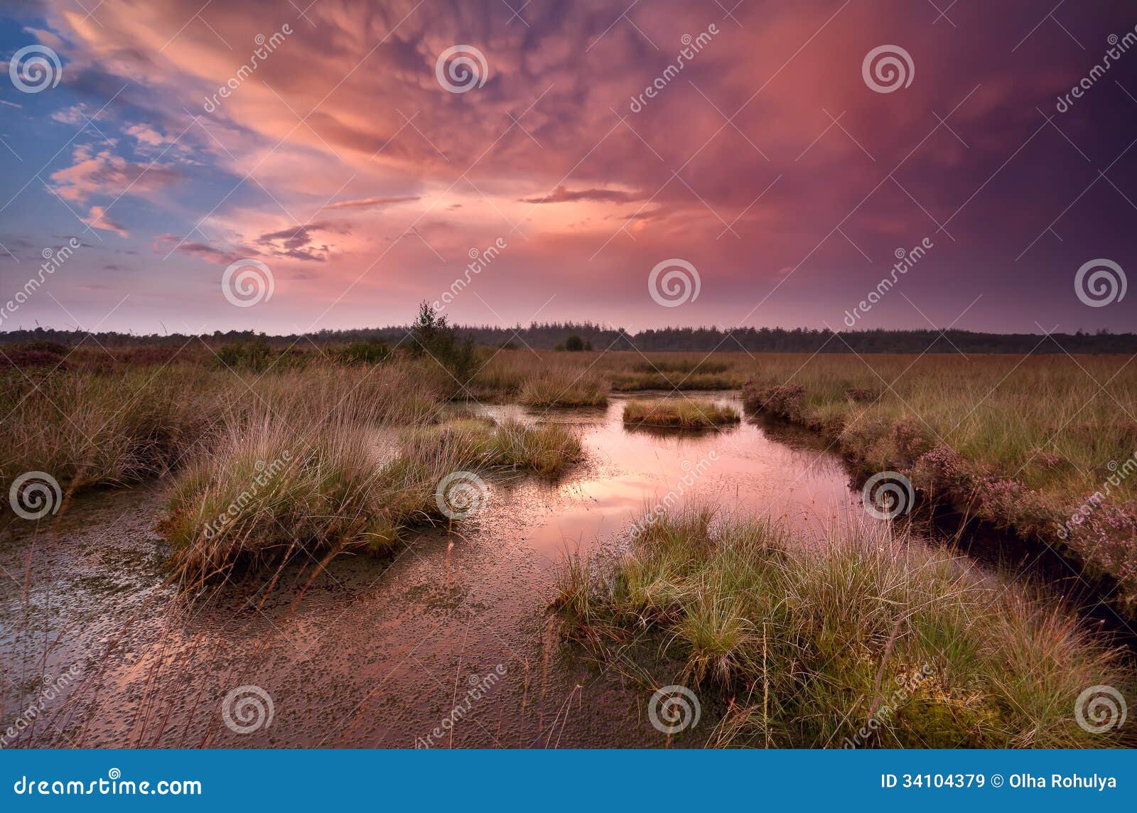 Dramatic Red Sunset Over Swamp Stock Image - Image of rural, reflect ...