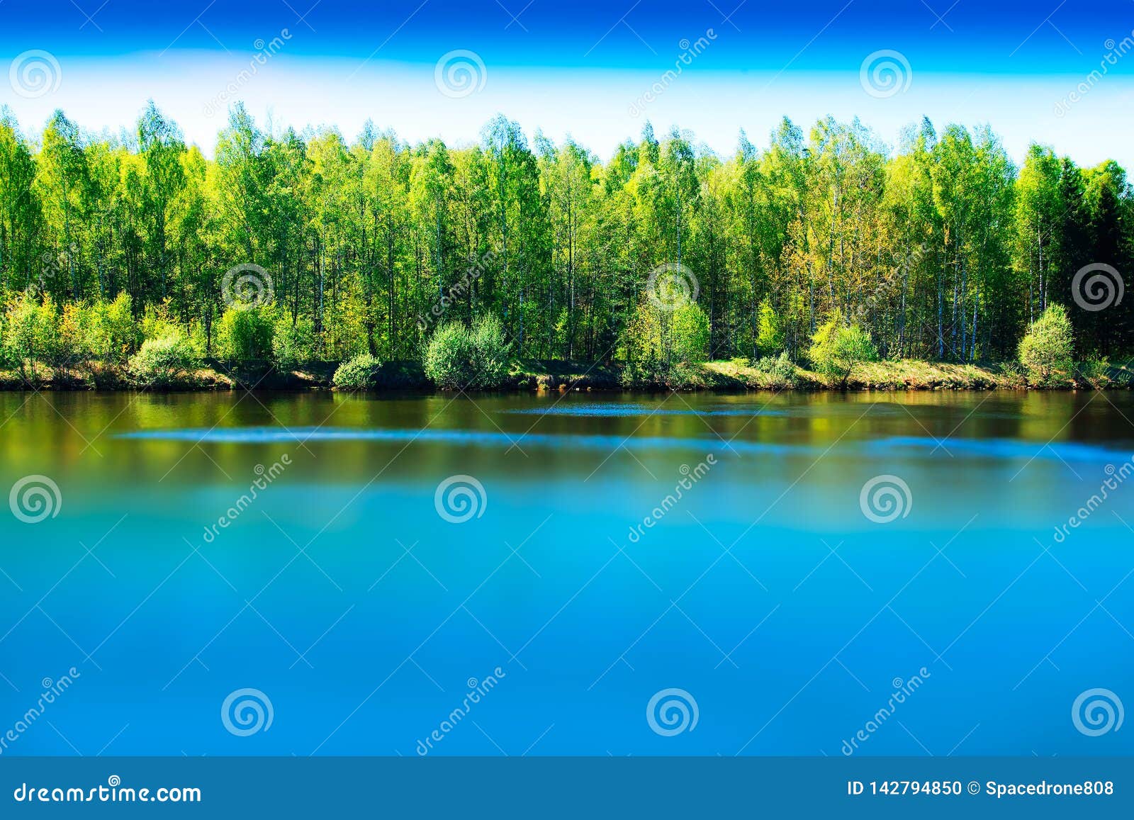 Dramatic River Forest Horizon Backdrop Stock Photo - Image of epic ...