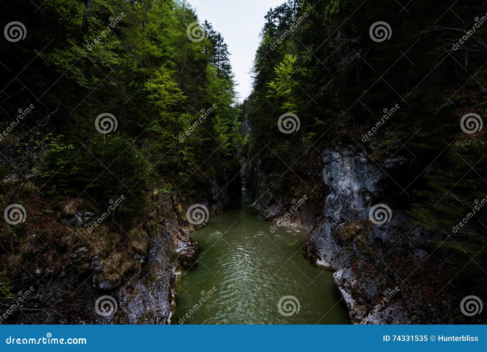 Out In The Valley Through The Gorge Overgrown With Moss And Shrubs ...