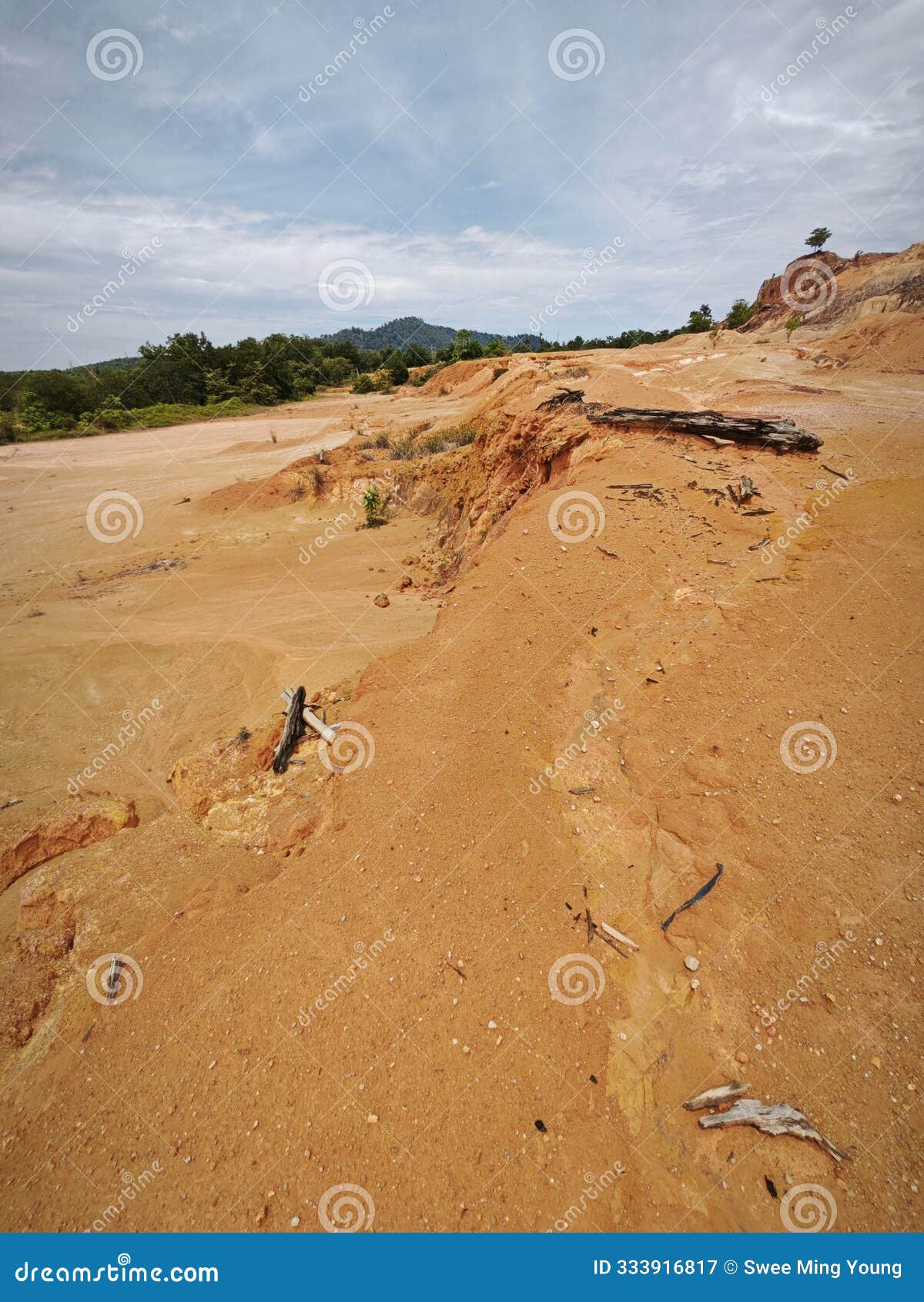 Dramatic Scene Around the Deserted Vacant Land Due To Deforestation and ...