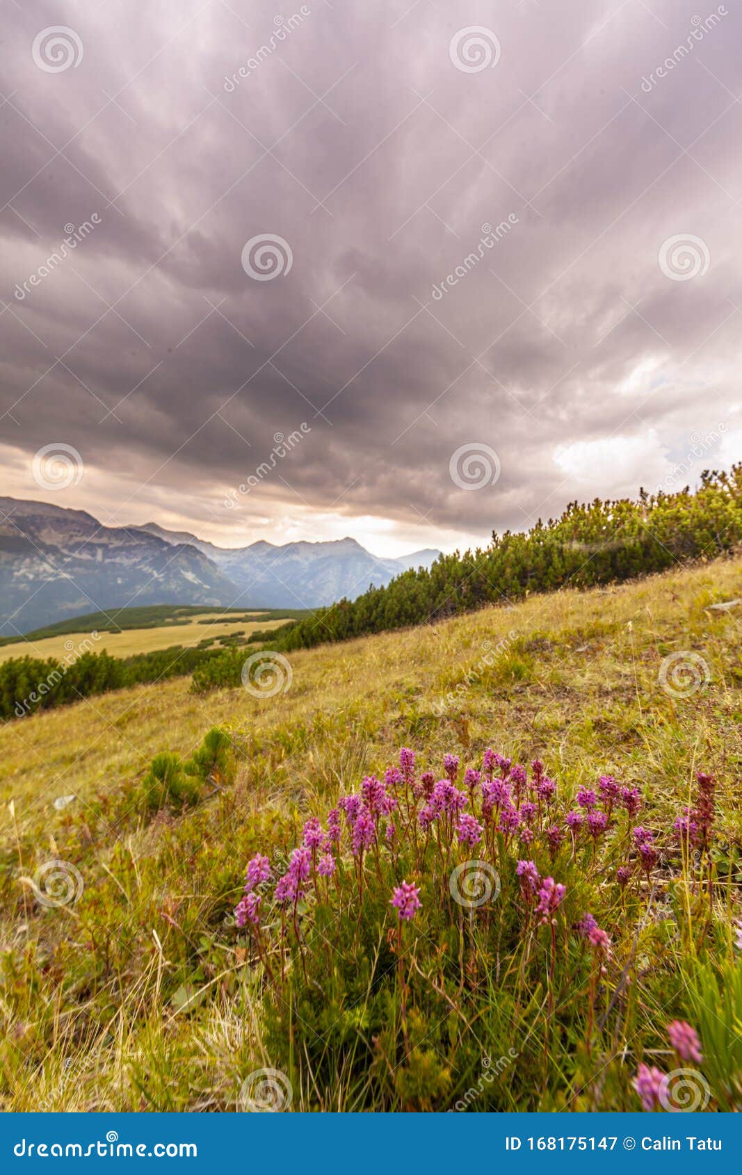 Dramatic Scenery in the Alps, with Stormy Cloudscape Stock Image ...