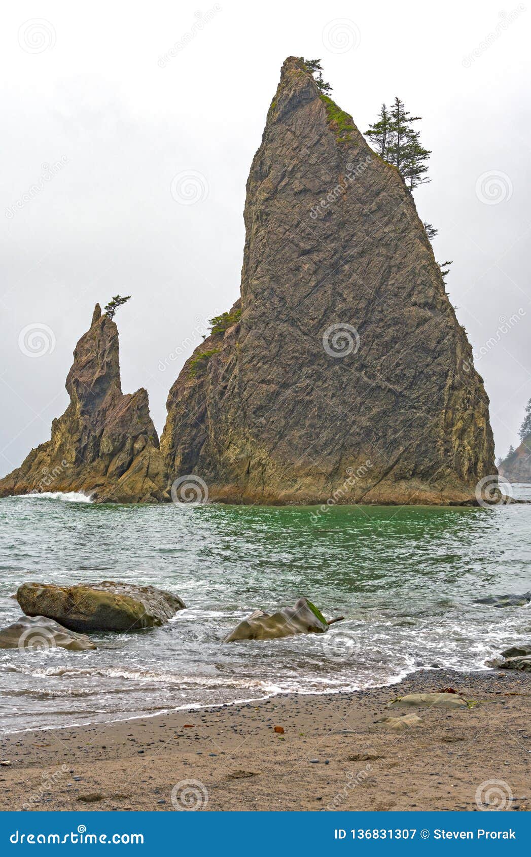 Dramatic Sea Stack on the Ocean Shore Stock Image - Image of washington ...