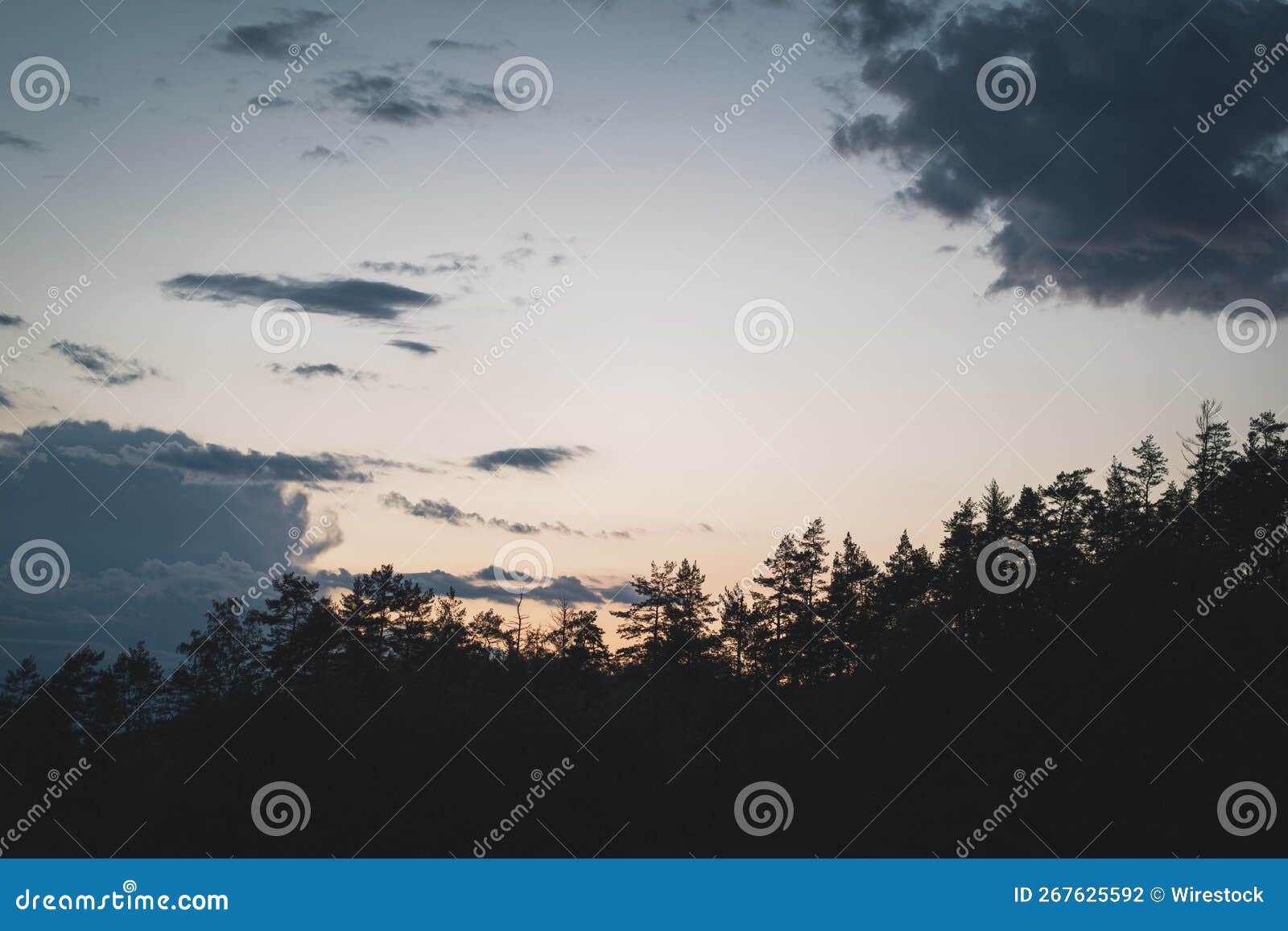 Dramatic Shot of a Field with Trees at Sunset Stock Photo - Image of ...