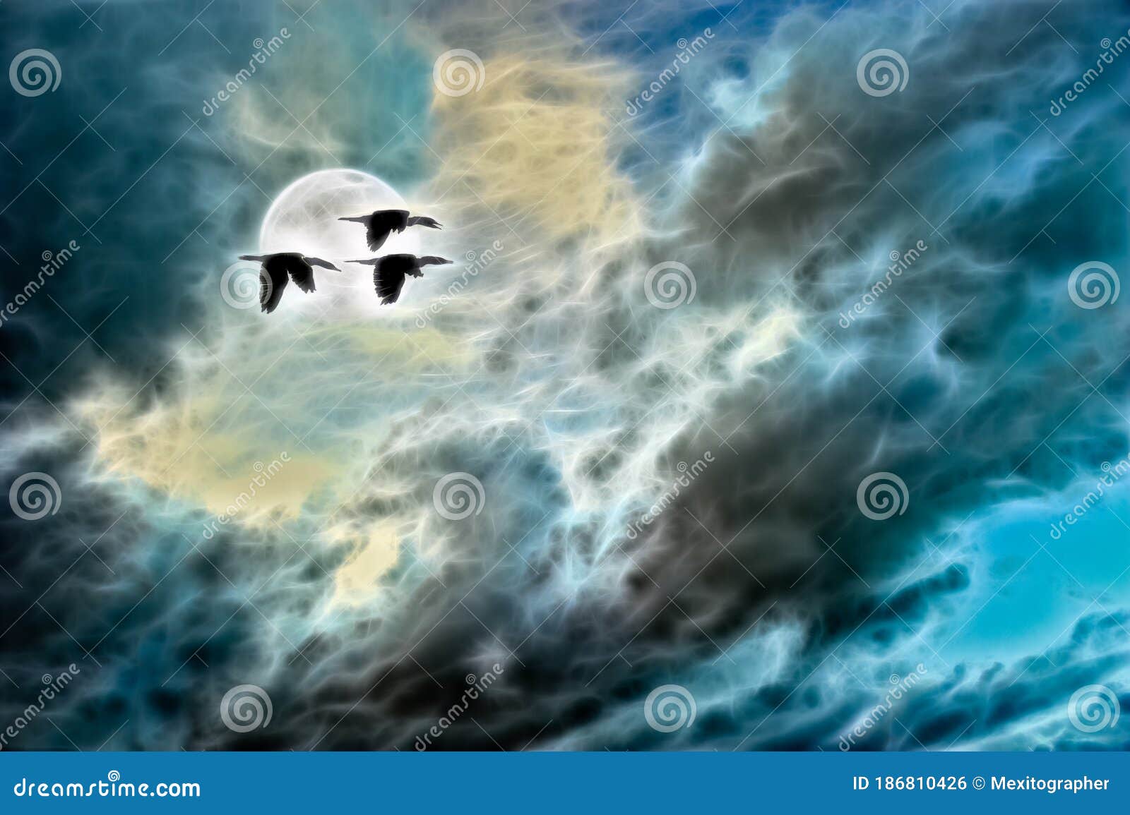 Dramatic Sky Moon Birds stock photo. Image of dramatic - 186810426