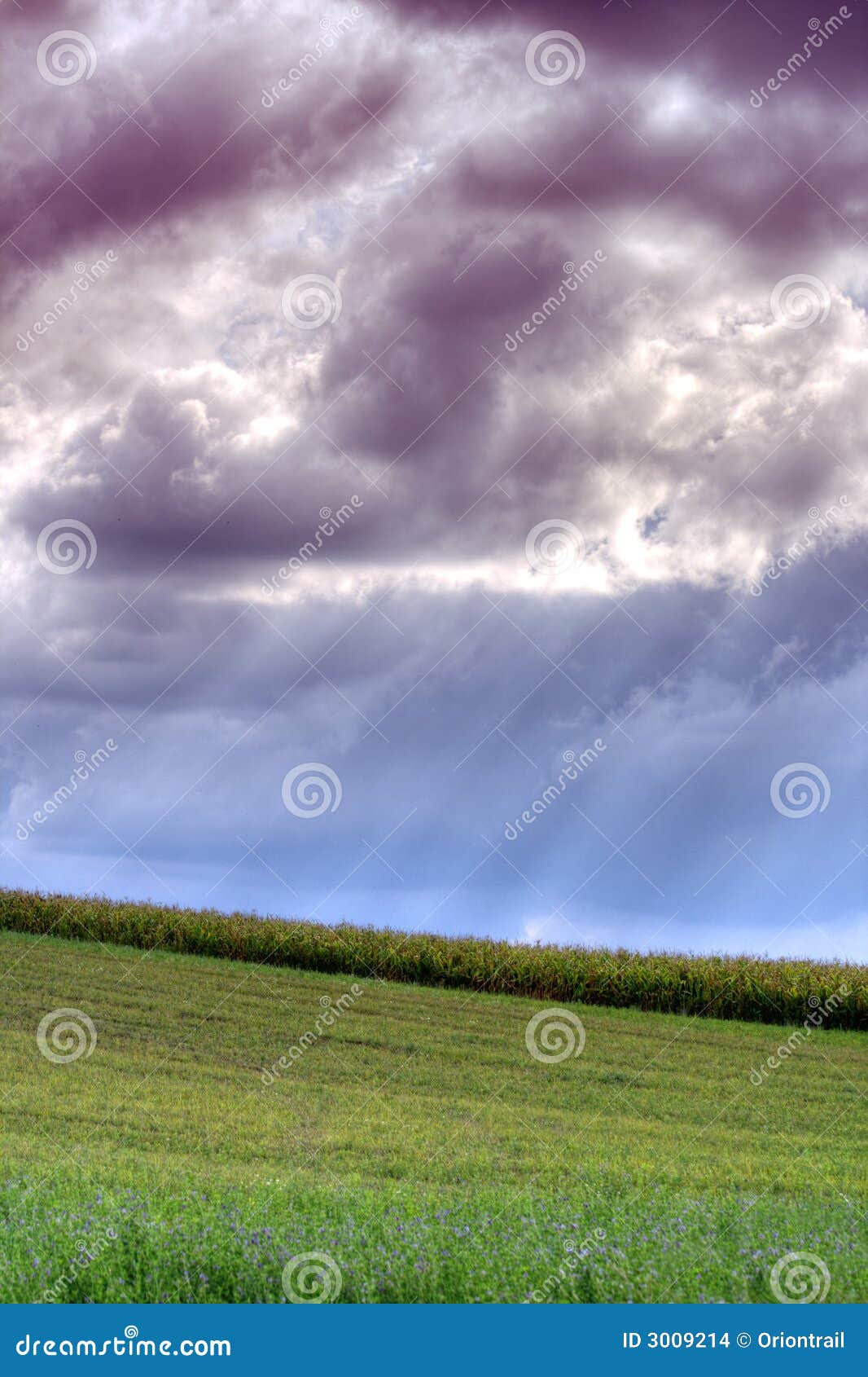 Dramatic Sky Over the Field Stock Photo - Image of clouds, breeze: 3009214