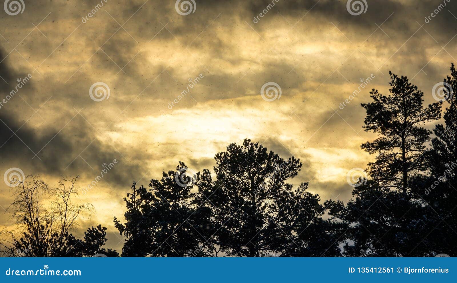 Dramatic Sky with Snow Falling and Silhouette of Forest Stock Image ...