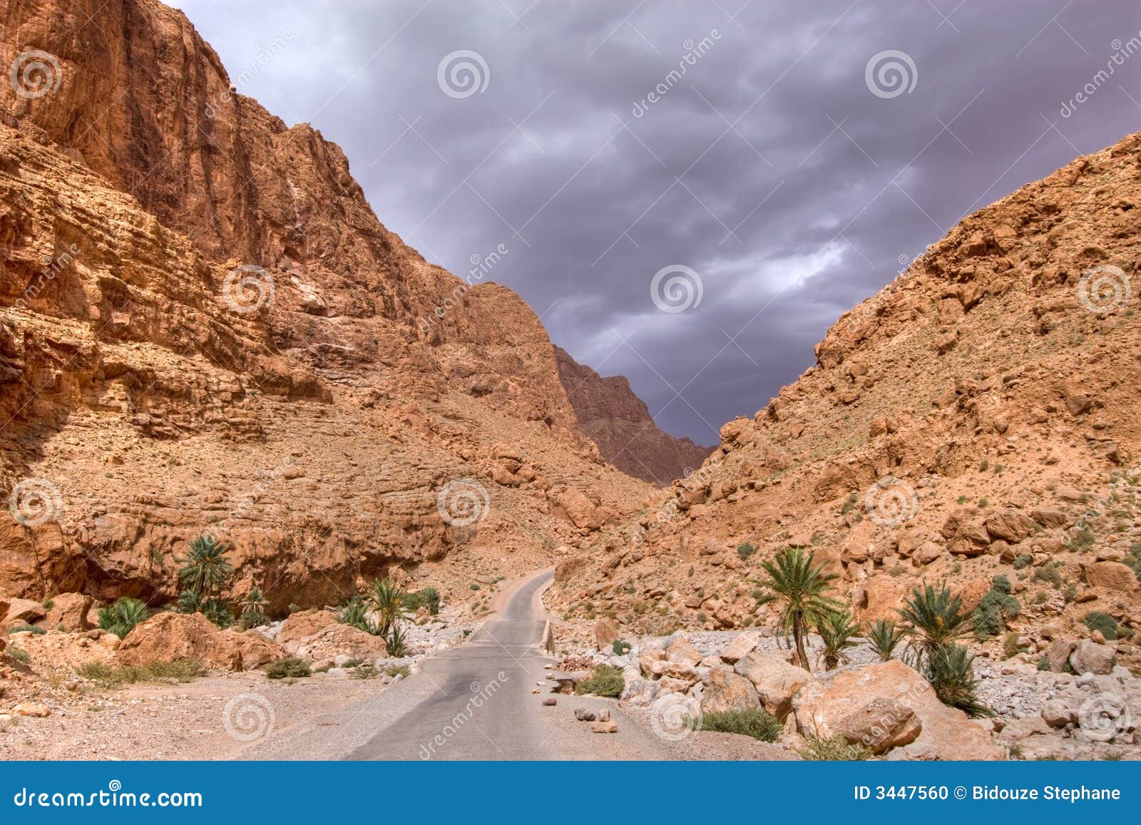 Dramatic Sky in Stone Desert Stock Photo - Image of tree, landscape ...