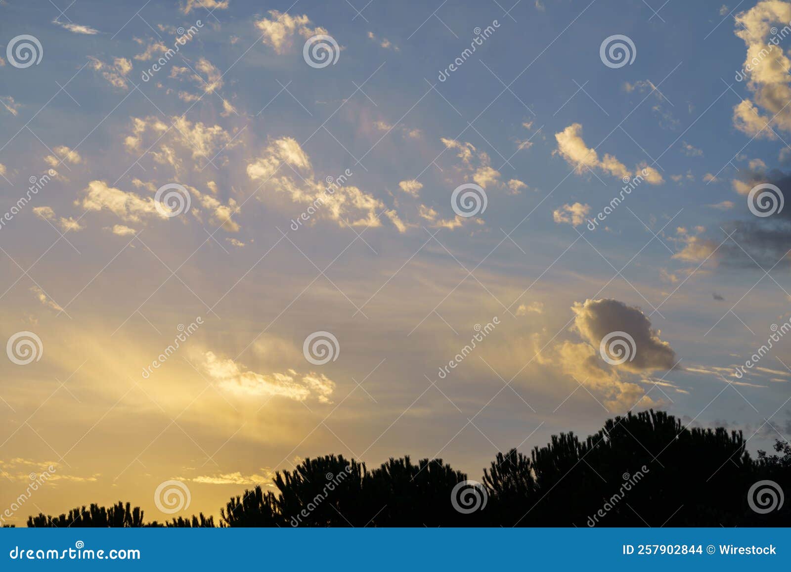 Dramatic Sky at Sunrise with Trees in the Background Stock Photo ...