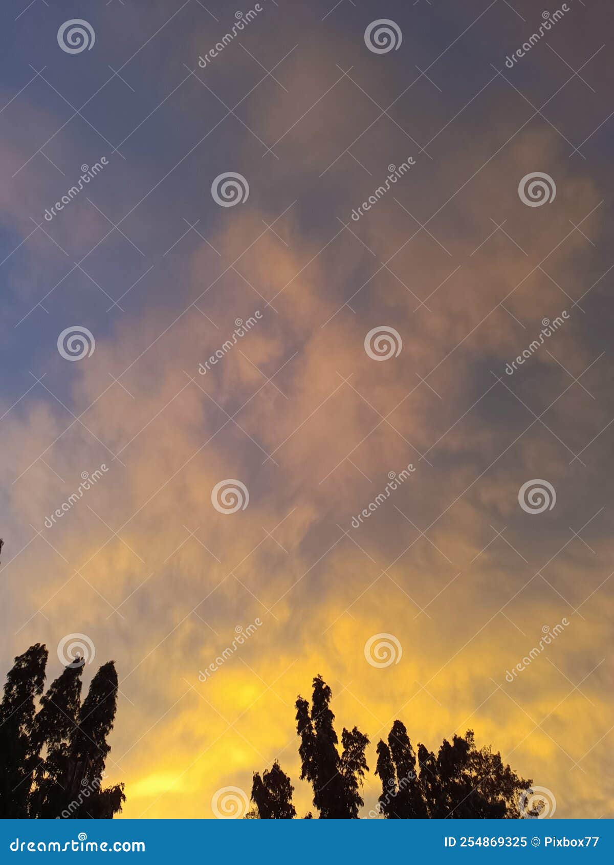 Dramatic Sky with Tree Silhouette, Twilight Time Stock Image - Image of ...