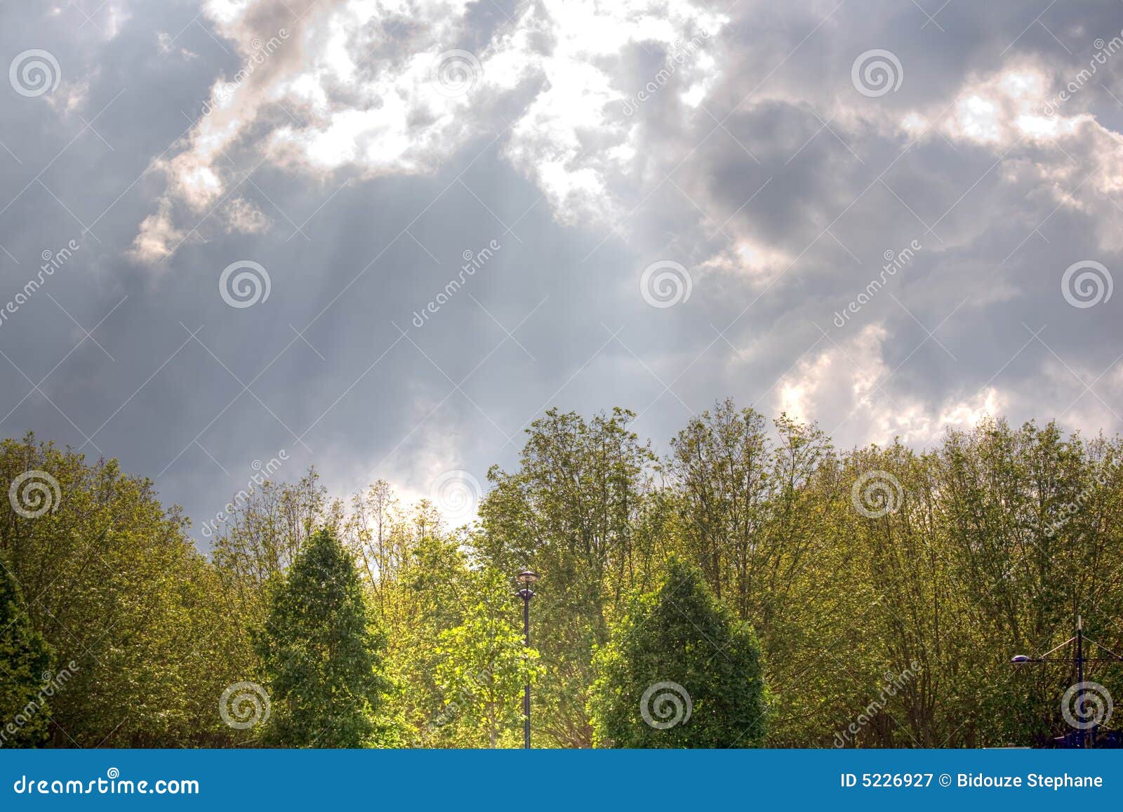Dramatic sky on trees stock image. Image of europe, rain - 5226927