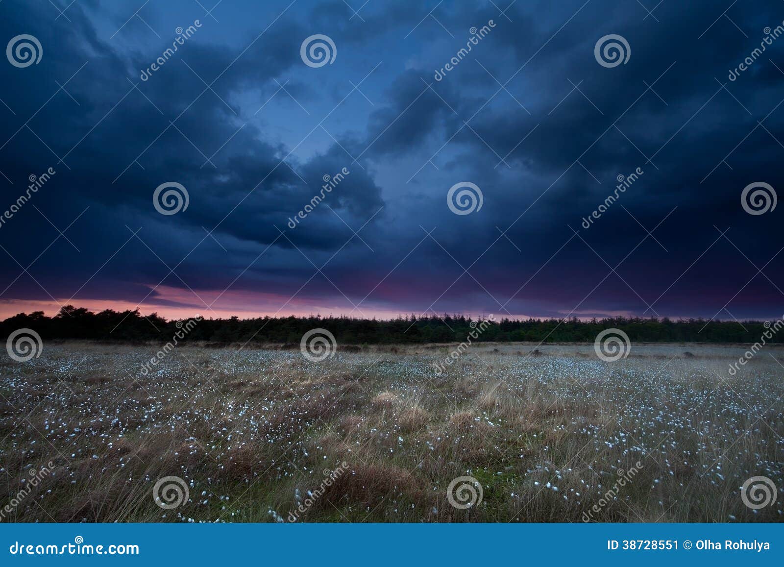 Dramatic Storm Sky Over Marsh at Sunset Stock Image - Image of blue ...