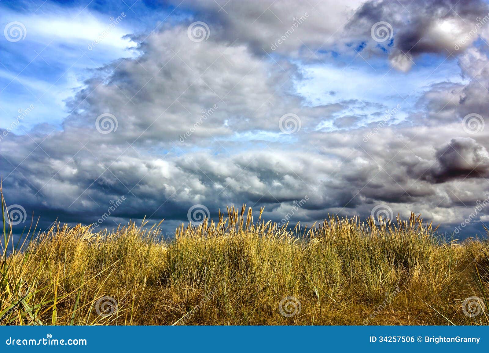 Dramatic Clouds in a Stormy Sky with Closeup of Grass. Stock Photo ...