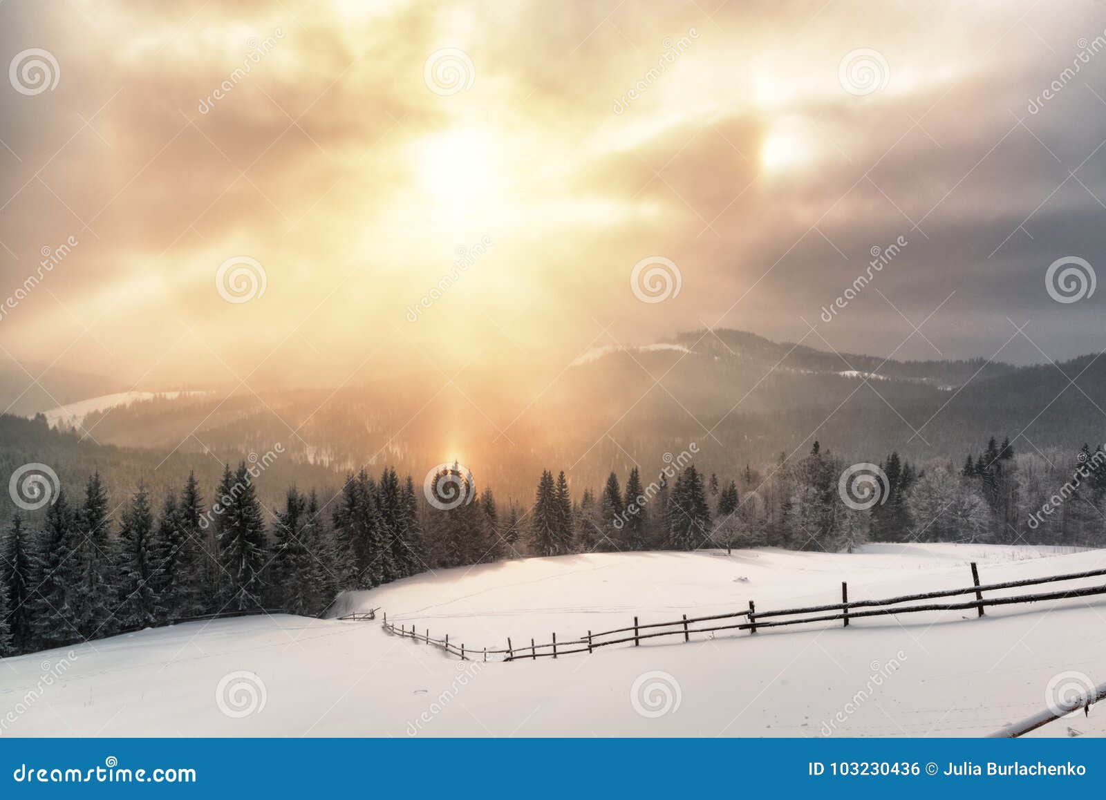 Dramatic Sunlight in a Winter Day Stock Photo - Image of rime, frost ...