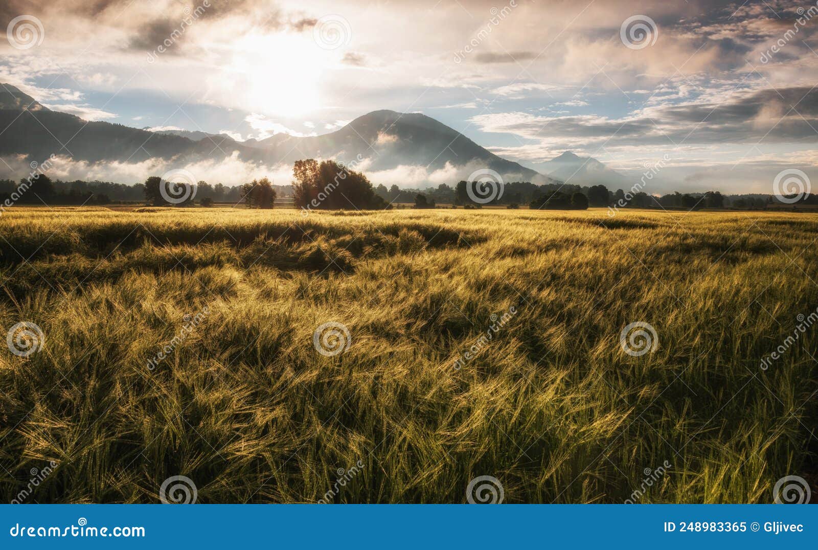 Dramatic Sunrise in the Countryside in Spring Stock Image - Image of ...