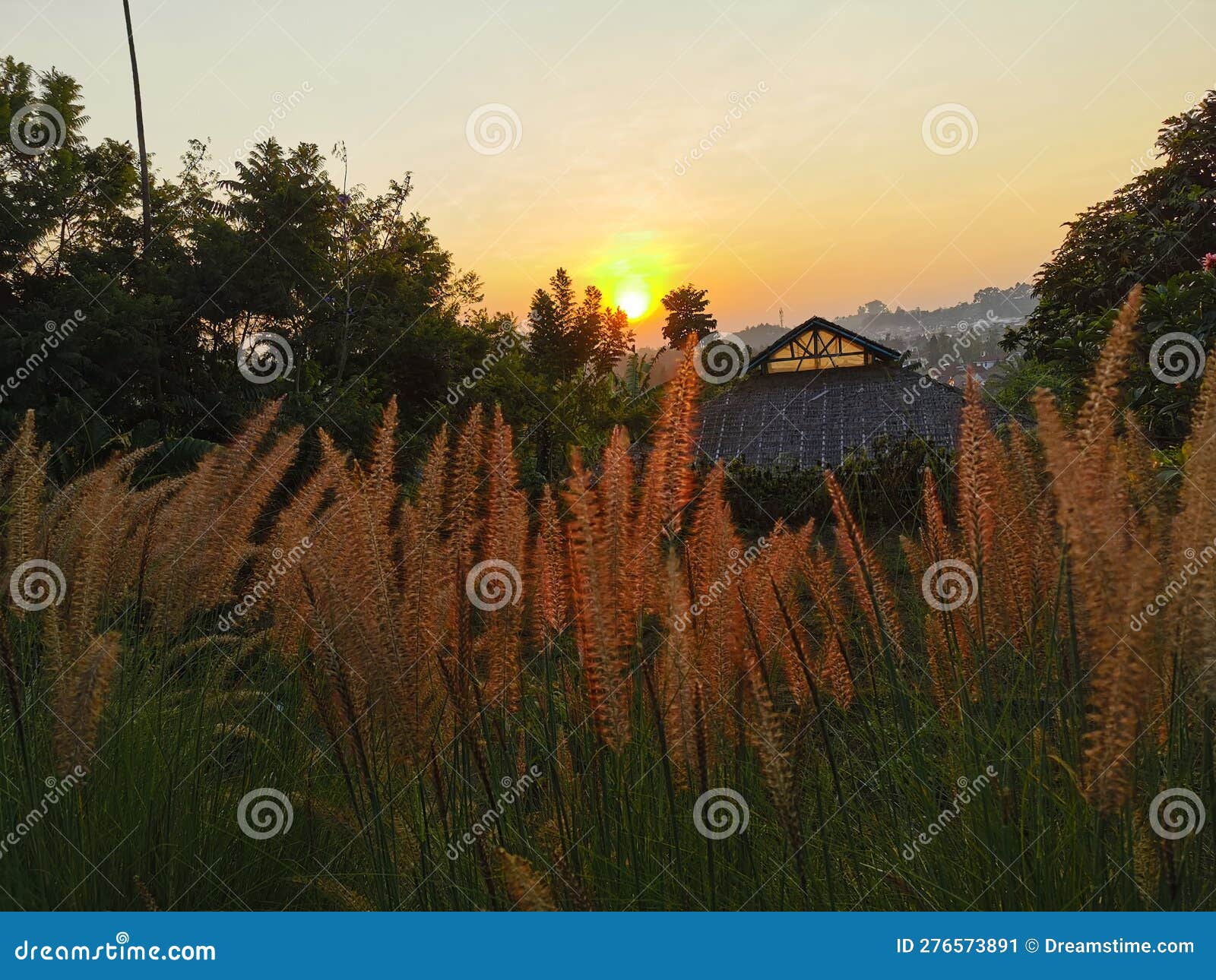 Dramatic, Sunset in the Backyard Garden Grass Stock Image - Image of ...