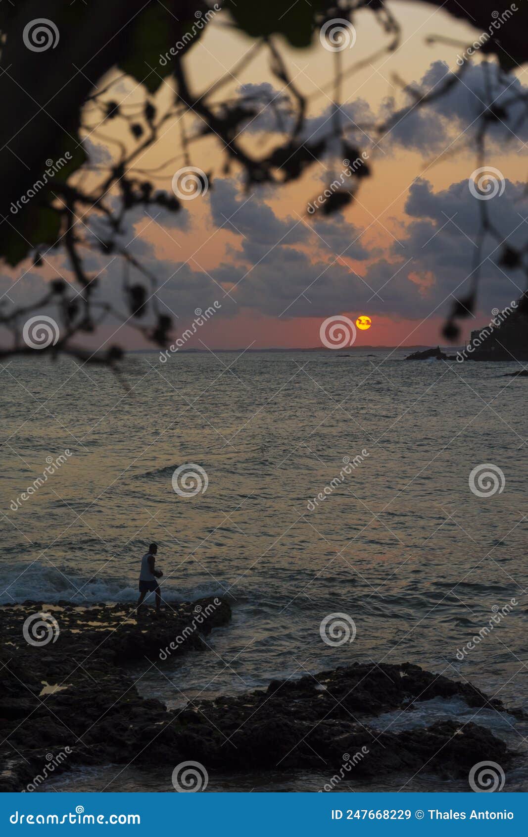 Dramatic Sunset on the Beach between Tree Leaves with Vibrant Colors ...