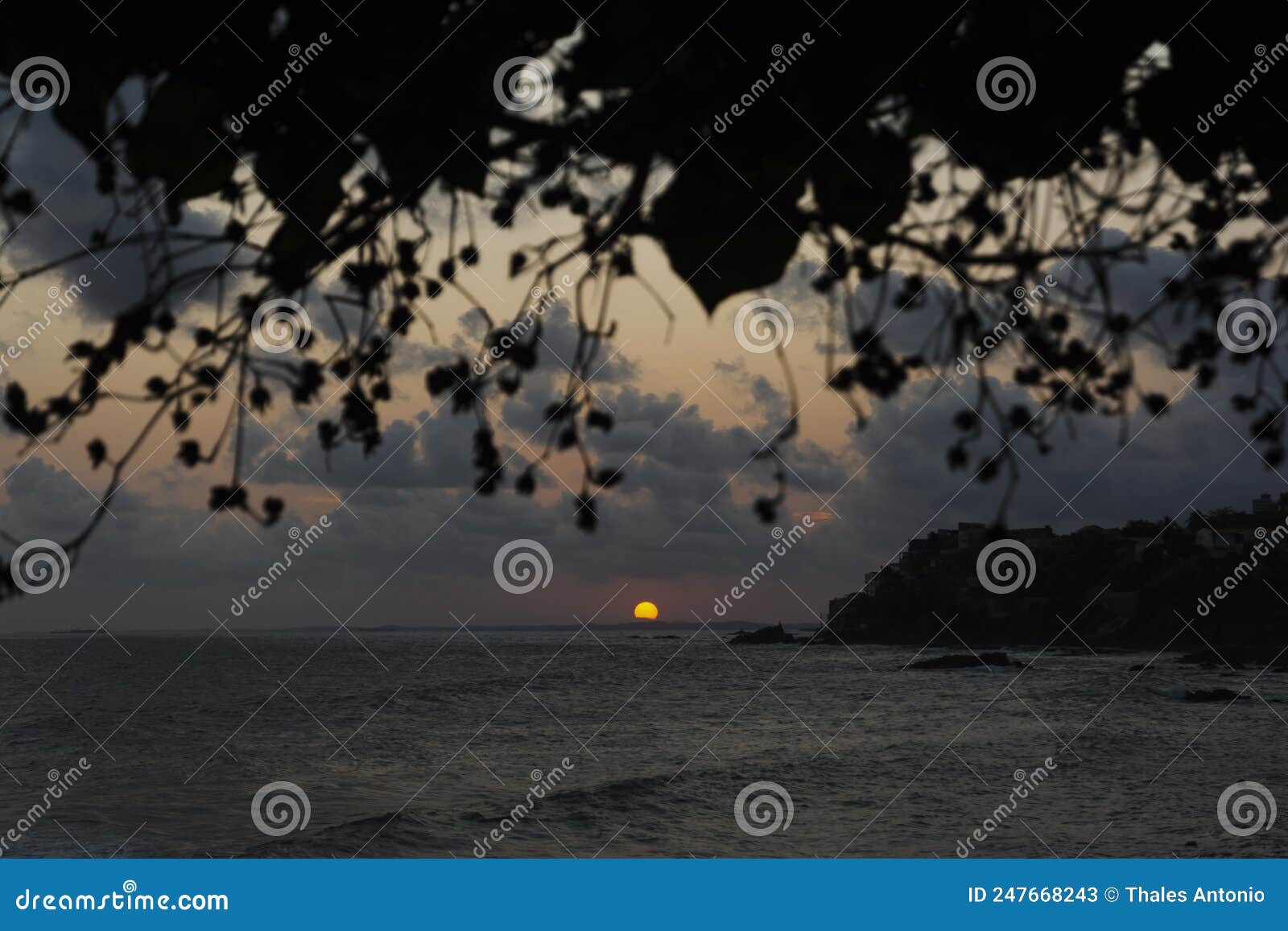 Dramatic Sunset on the Beach between Tree Leaves with Vibrant Colors ...