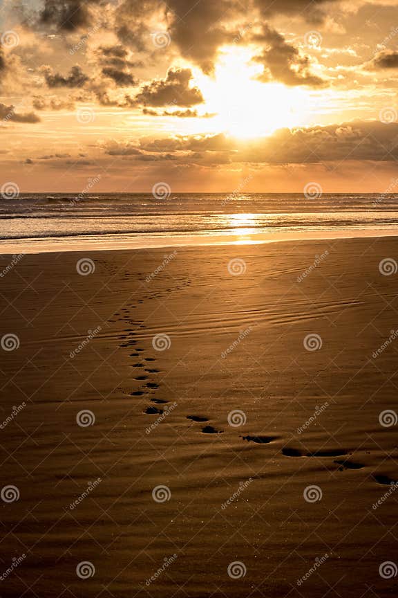 Dramatic Sunset with Footsteps on a Sandy Beach Stock Image - Image of ...