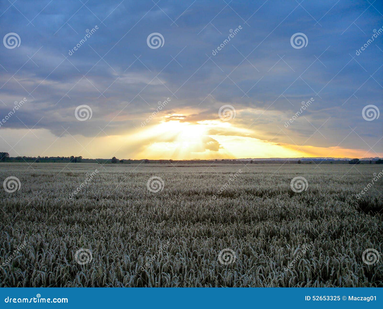 Dramatic sunset over field stock image. Image of landscape - 52653325