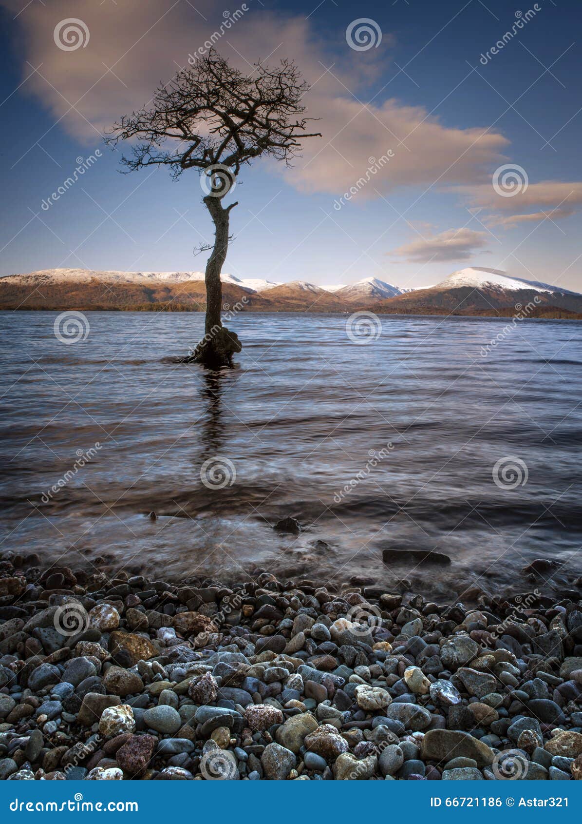 Dramatic Sunset Over Lone Tree at Loch Lomond Stock Photo - Image of ...