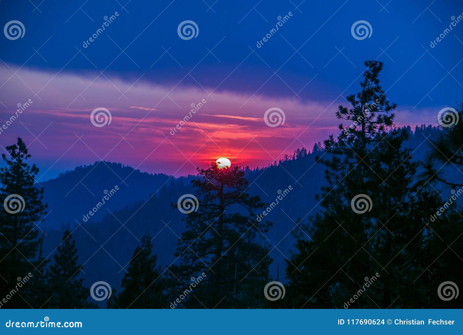Dramatic Sunset at the Sequoia Forest Stock Photo - Image of dramatic ...