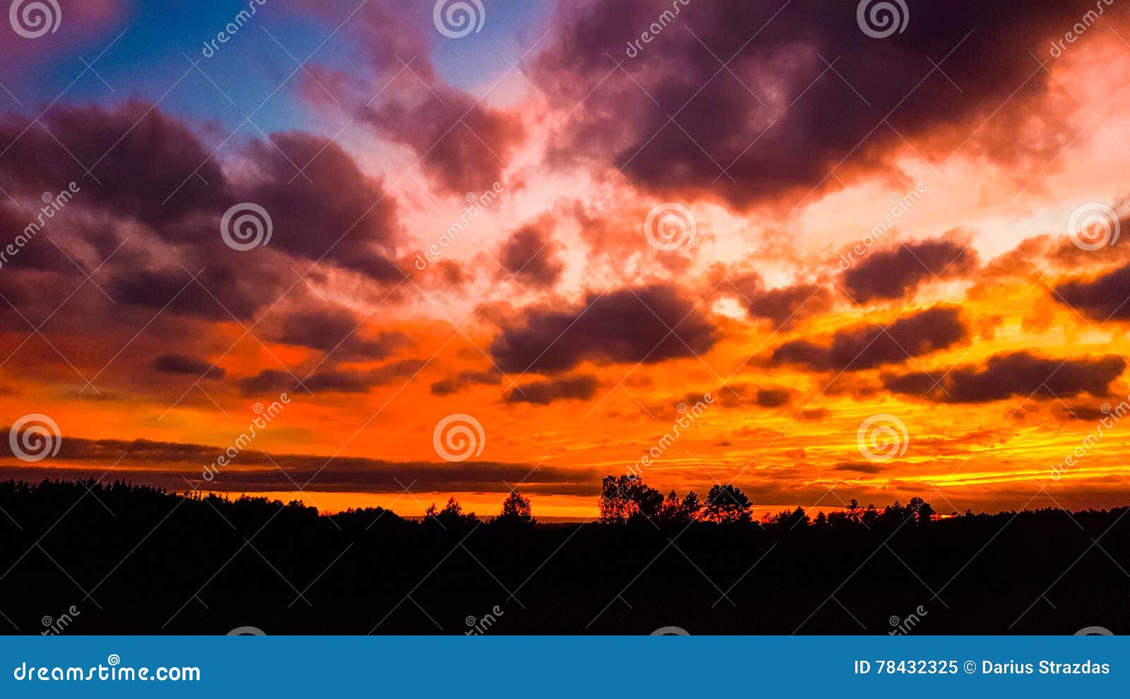Dramatic Sunset Sky and Forest Silhouette Stock Image - Image of ...