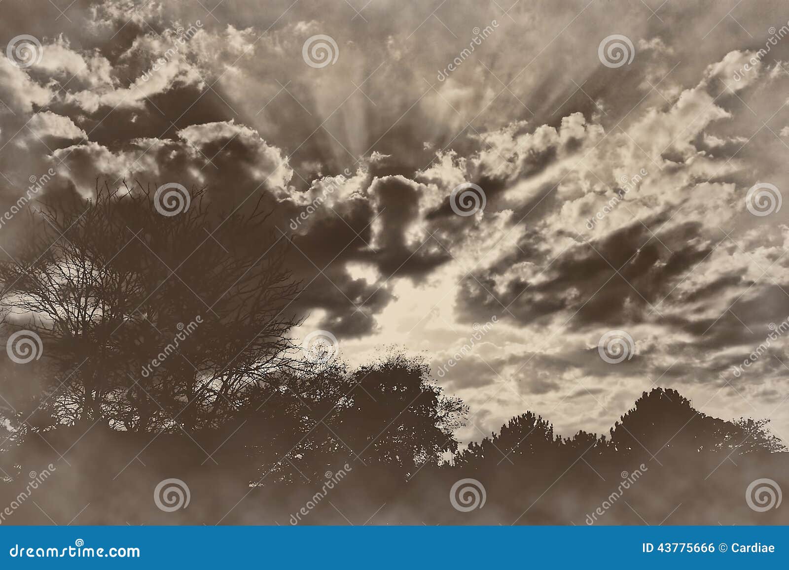 Dramatic Sunset Sunrise Rays of Light Clouds Sepia Retro Vintage Stock ...