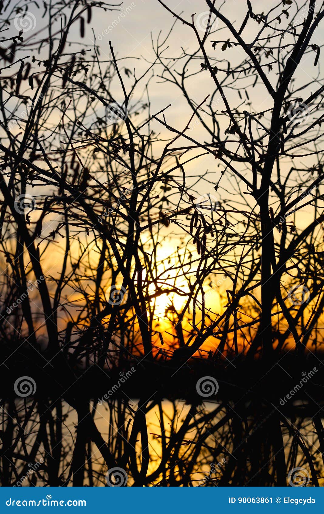 Dramatic Sunset with Tree Branches Stock Image - Image of fantasy ...
