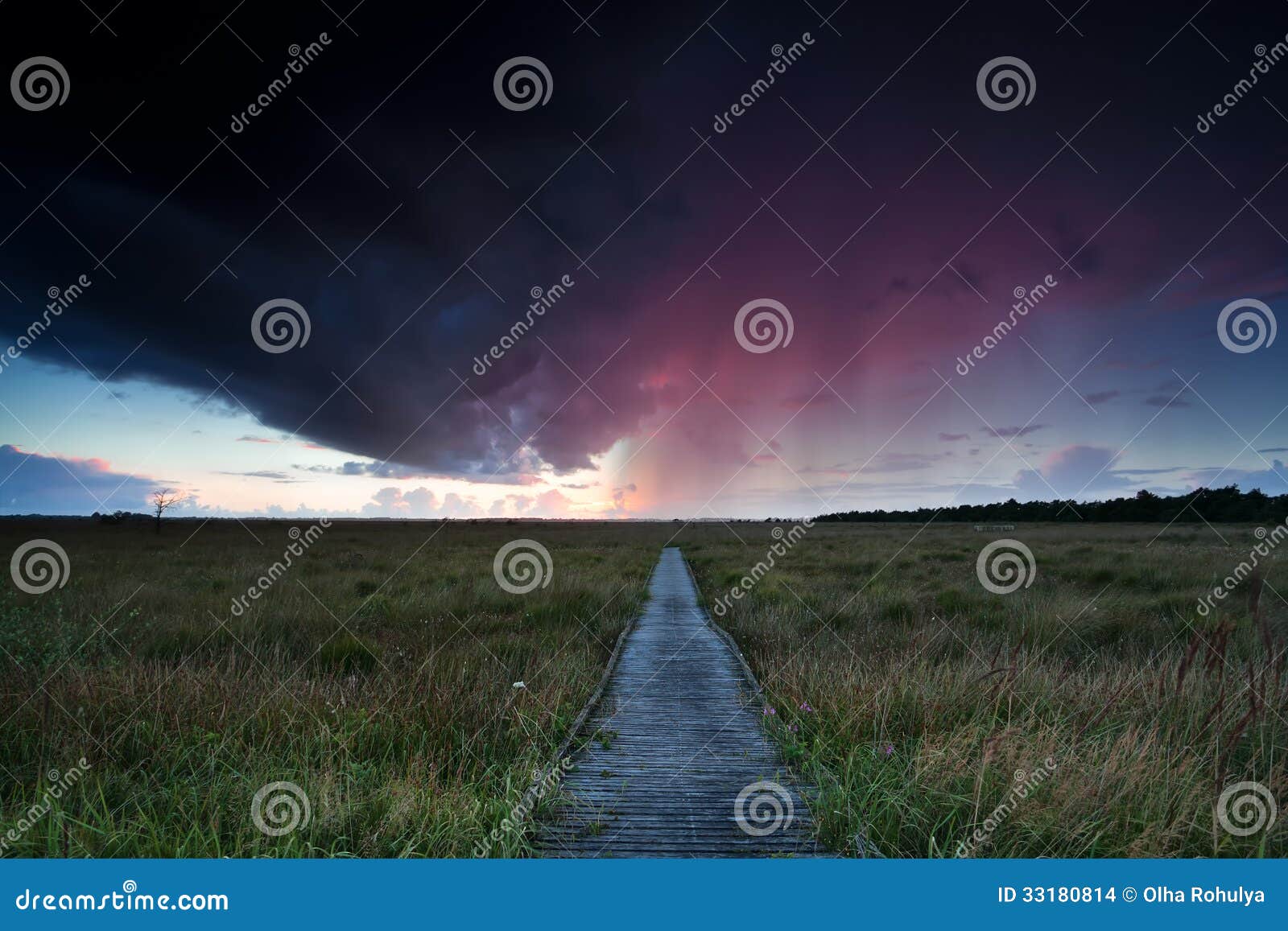 Dramatic Thunderstorm Over Path through Swamps Stock Photo - Image of ...