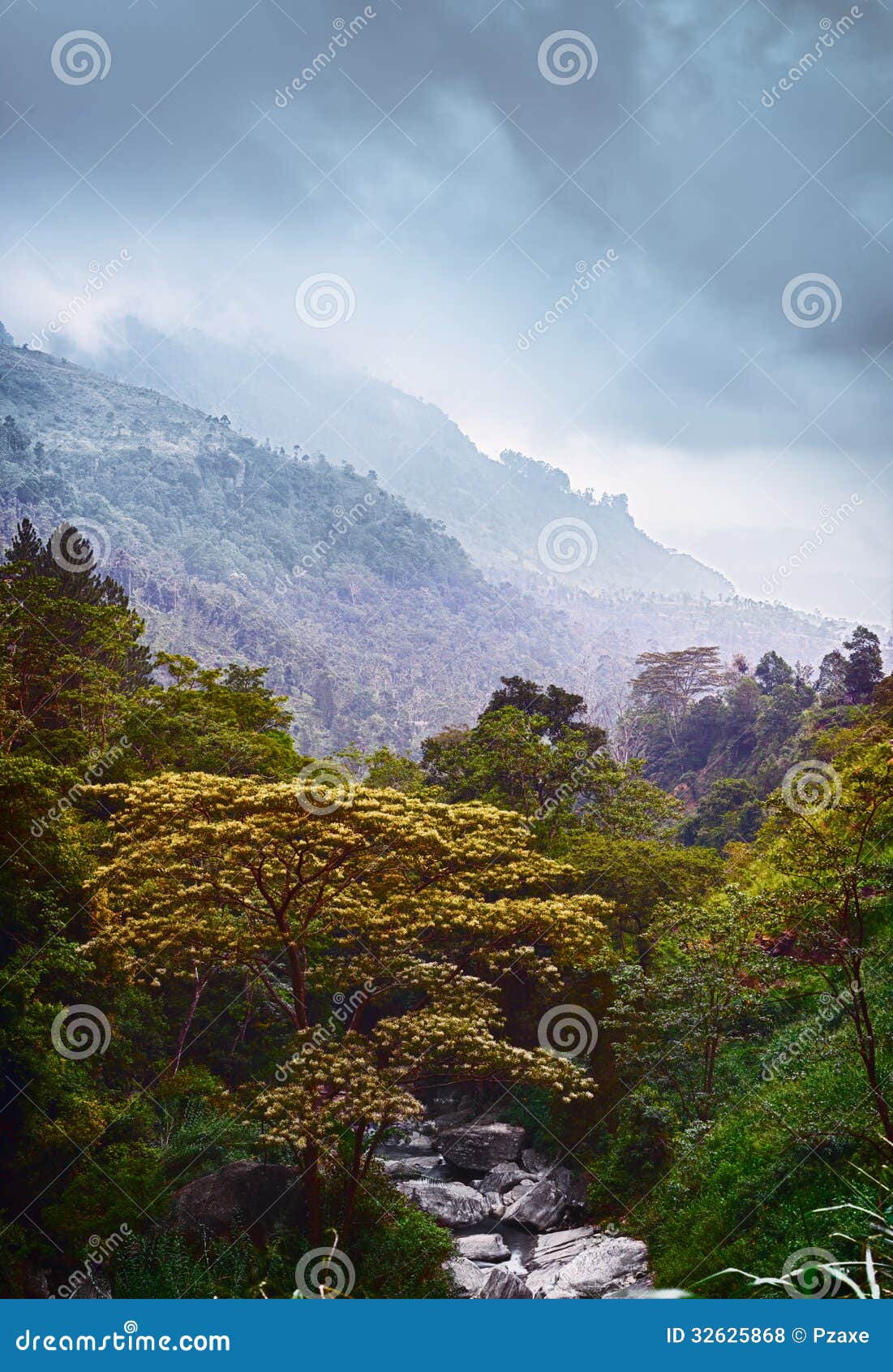 Dramatic Vertical Landscape. Forest and Stream Stock Photo - Image of ...